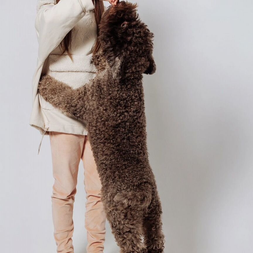 Лаготто Романьоло