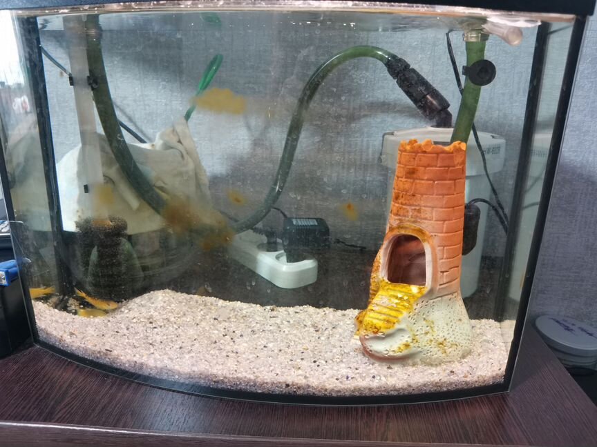 Аквариум 30 литров