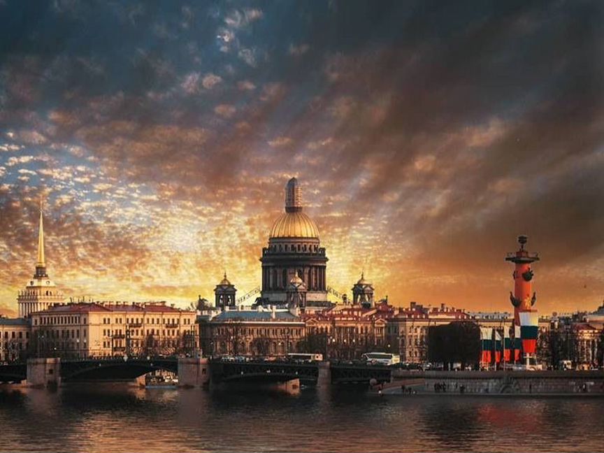 Стружка хвойная сухая бесплатно в Ольгино