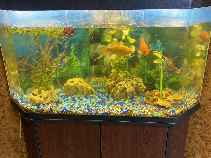 Аквариум 180 л угловой