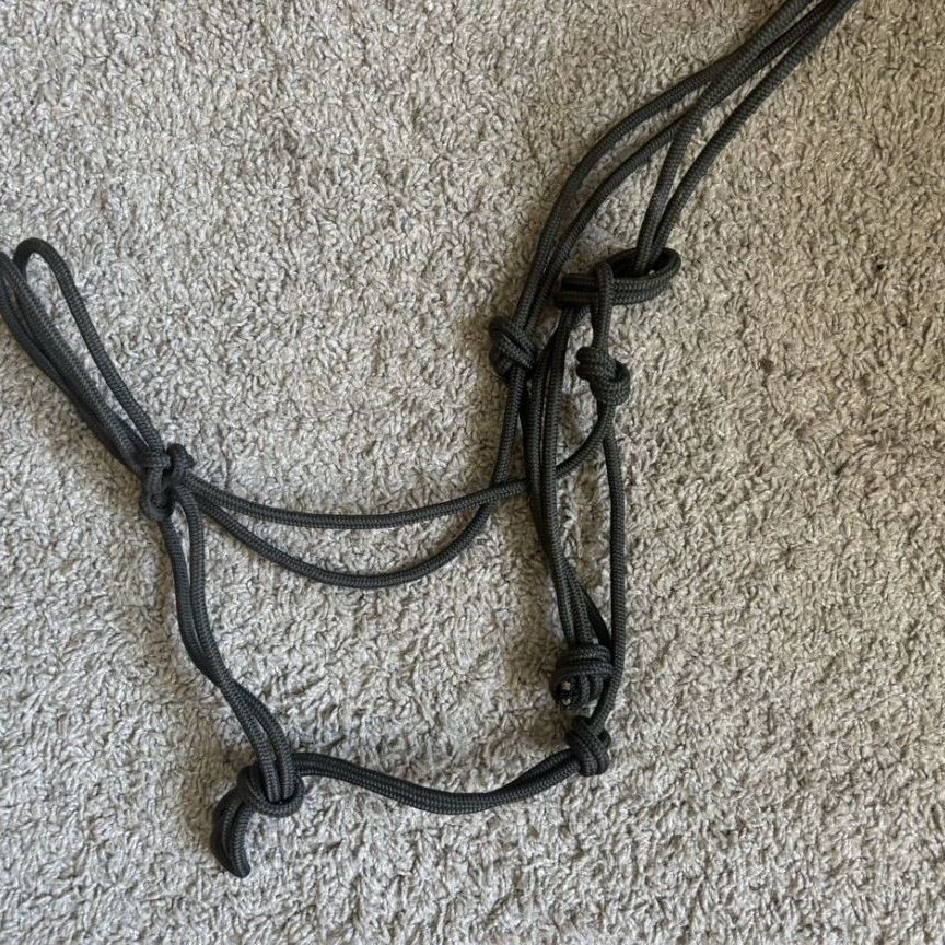 Недоуздок для лошади