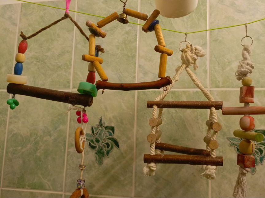 Игрушки для птиц