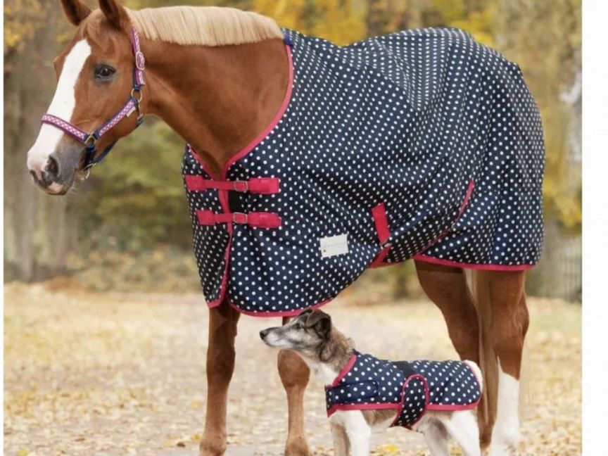 Лошадь,сабаки и животные