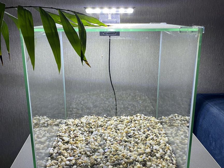 Аквариум "кубик"