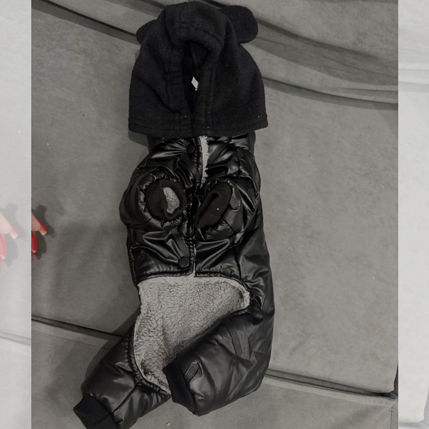 Одежда для маленьких собак s