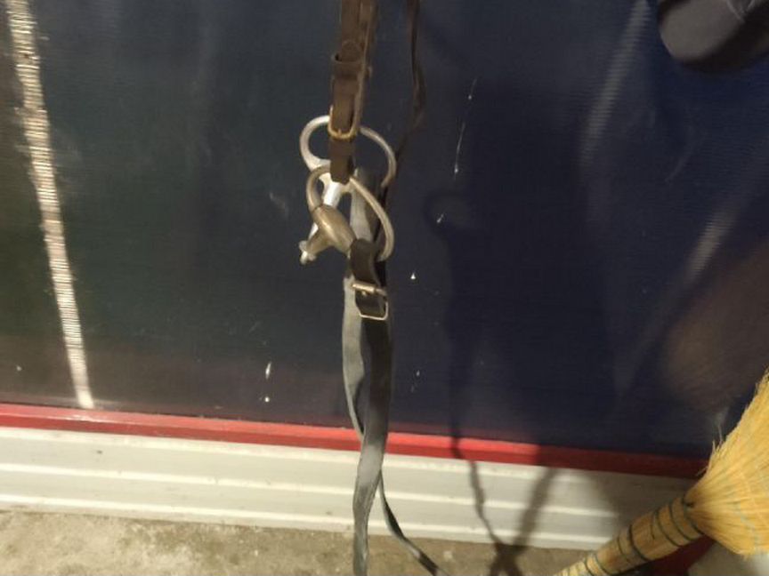 Уздечка для лошади