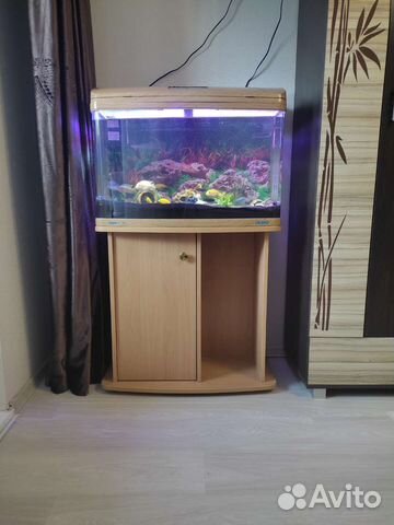 Аквариумный комплекс jebo R375 140 литров купить в Магнитогорске ...
