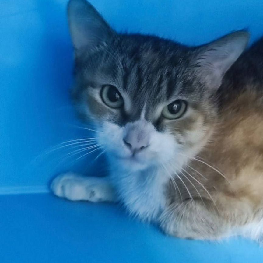 Милая Женя хочет в семью