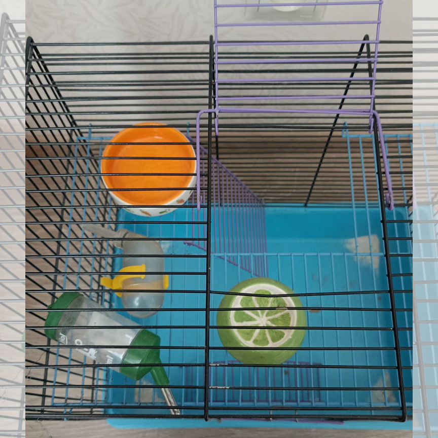 Клетка для грызунов бу