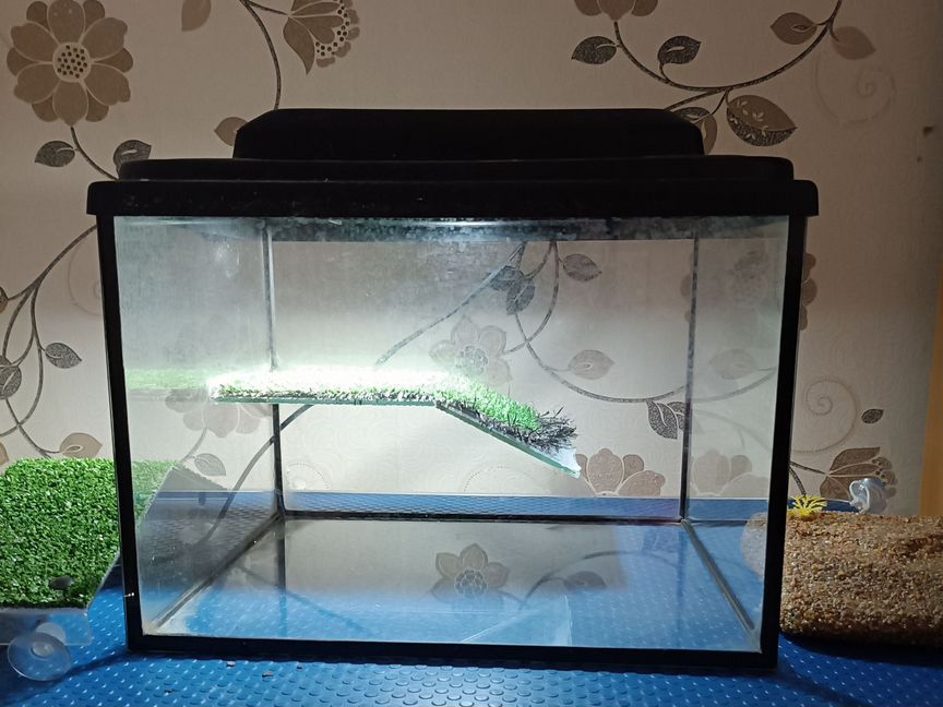 Аквариум террариум