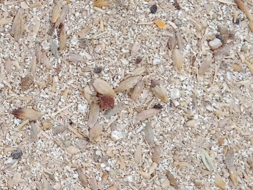 Зерноотходы