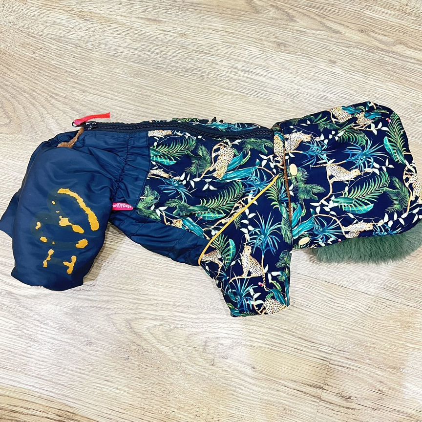 Одежда для собак мелких пород