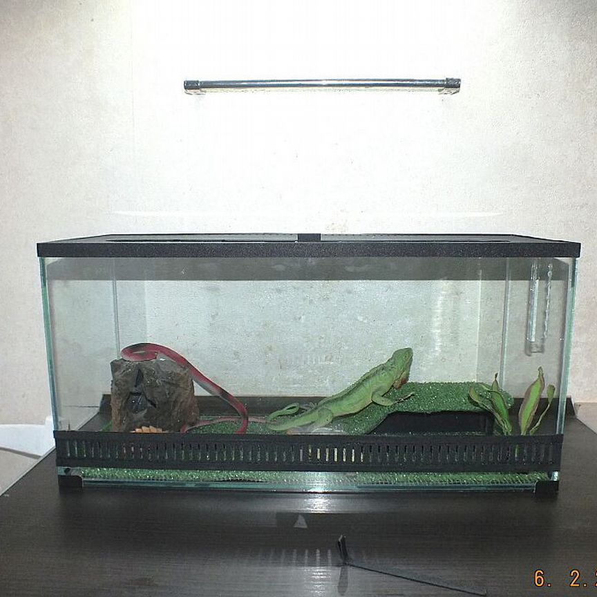 Новый горизонтальный терик для молодёжи на вырост