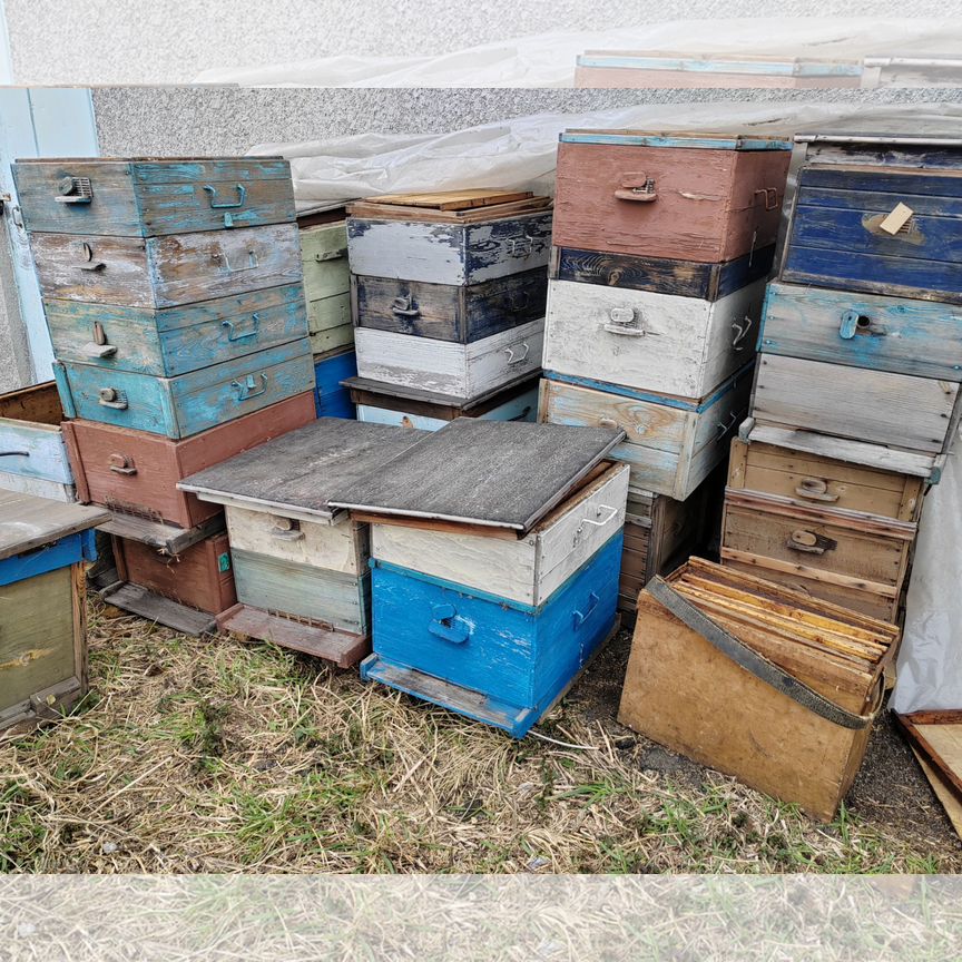 Бу улья оптом