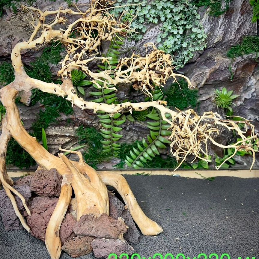 Коряга Бонсай бон28
