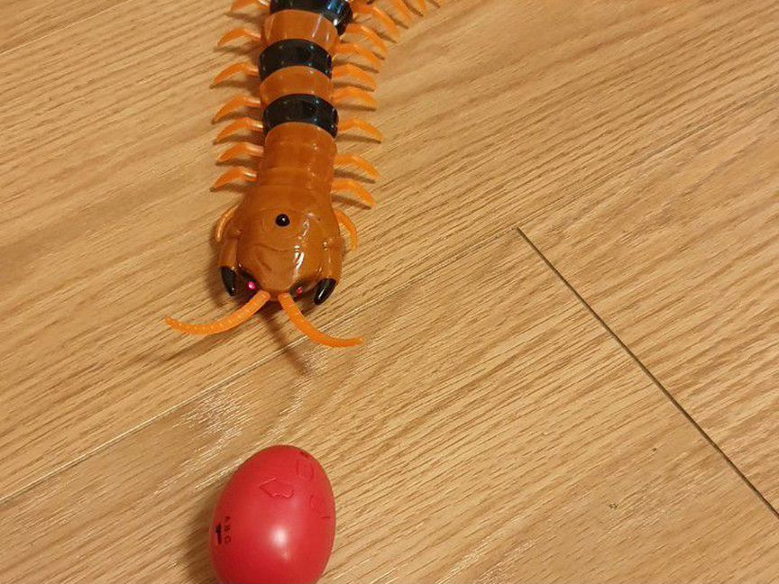 Гусеница-игрушка для животных