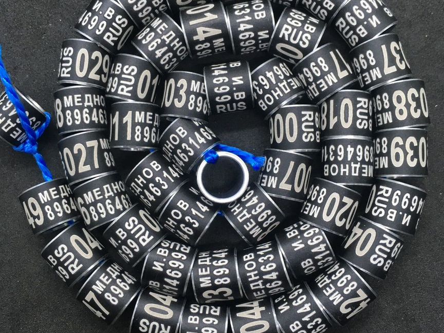 Кольца для голубей отечсвеные