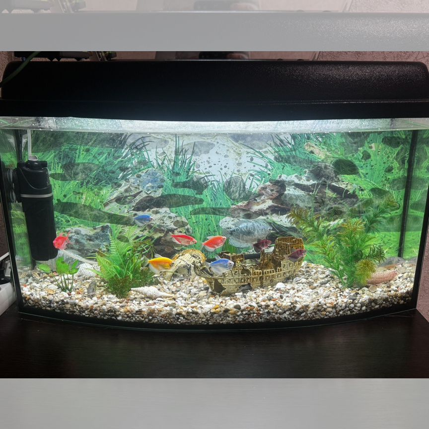 Аквариум с рыбками 70л