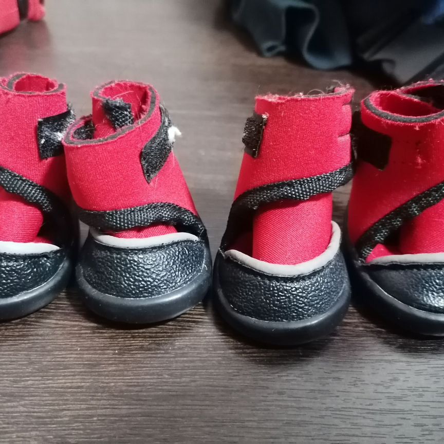 Обувь для маленькой собачки