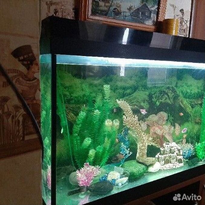 Продам аквариум бу 320л