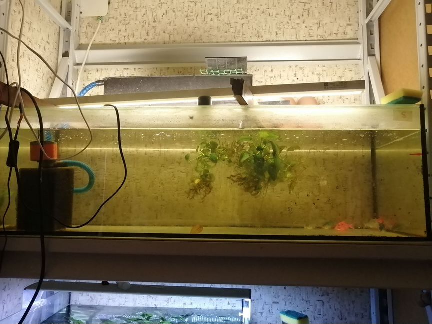 Продам 3 аквариума