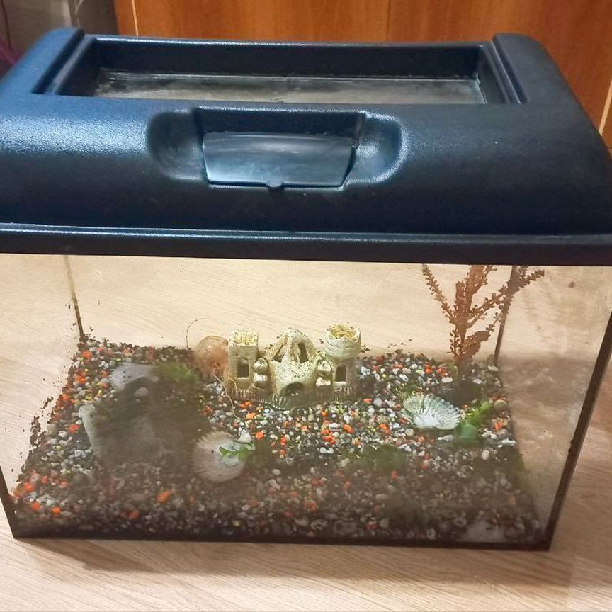Аквариум для рыбок