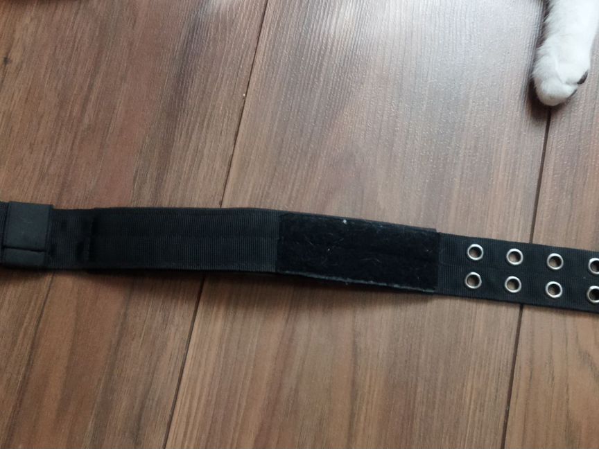 Амуниция для собак