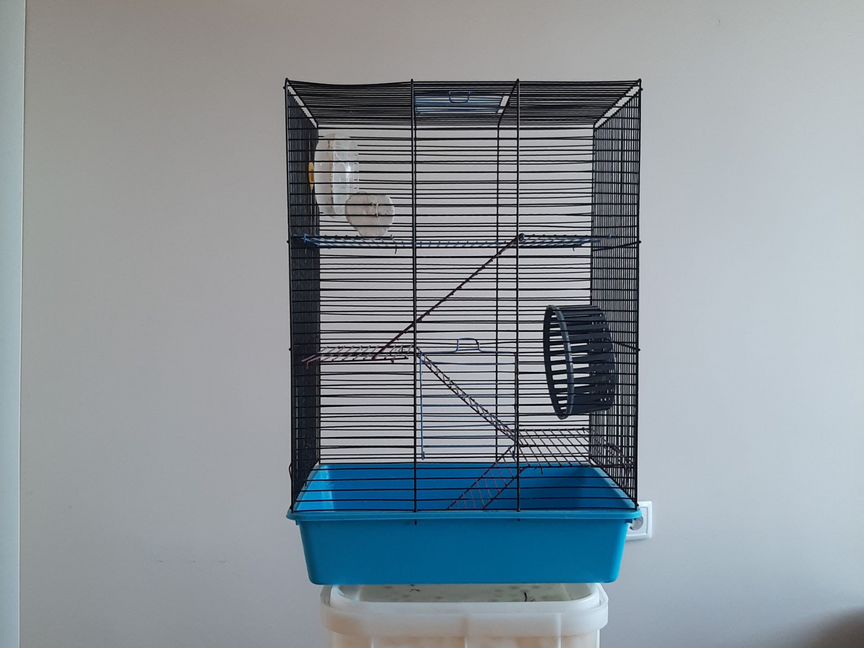 Клетка