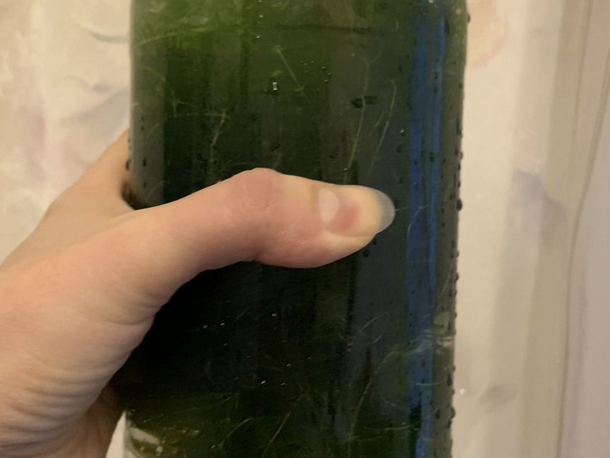 Водоросли для аквариума