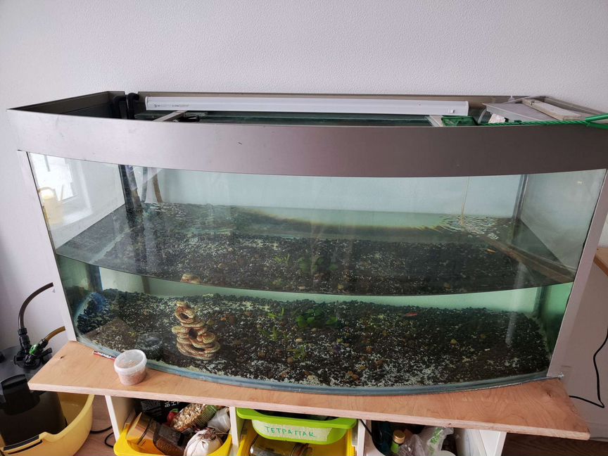 Аквариум, внешний фильтр для аквариума, лампа