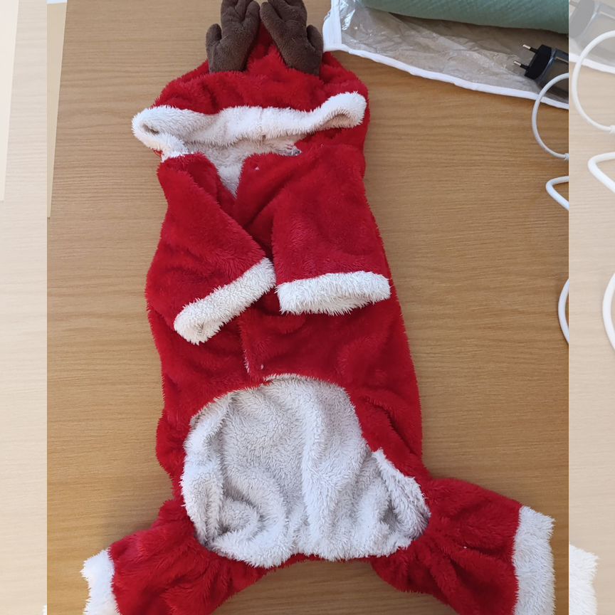 Одежда для маленьких собак