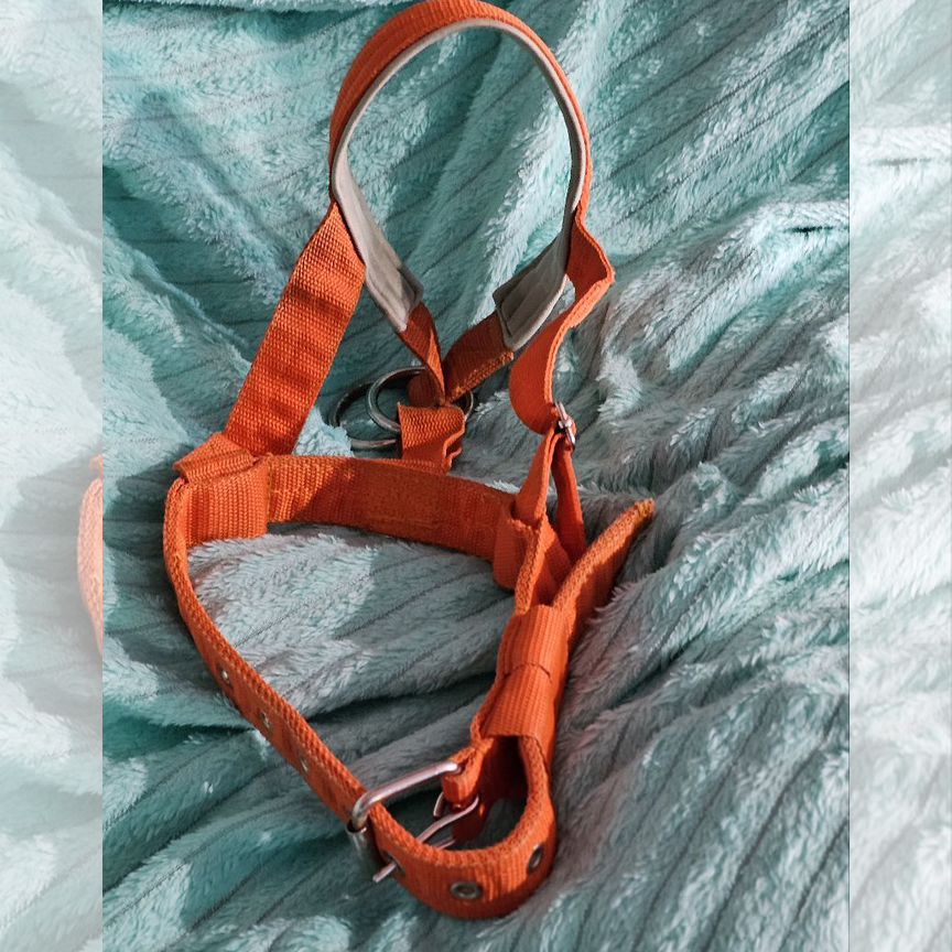 Продам недоуздок для собак