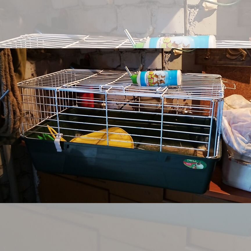 Клетка для декоративного кролика