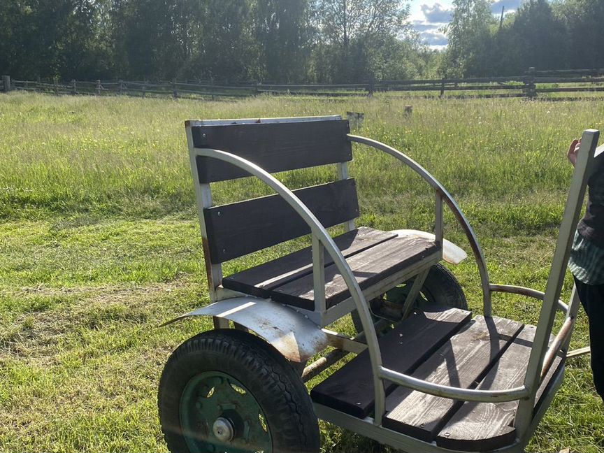 Сани и двуколка для пони