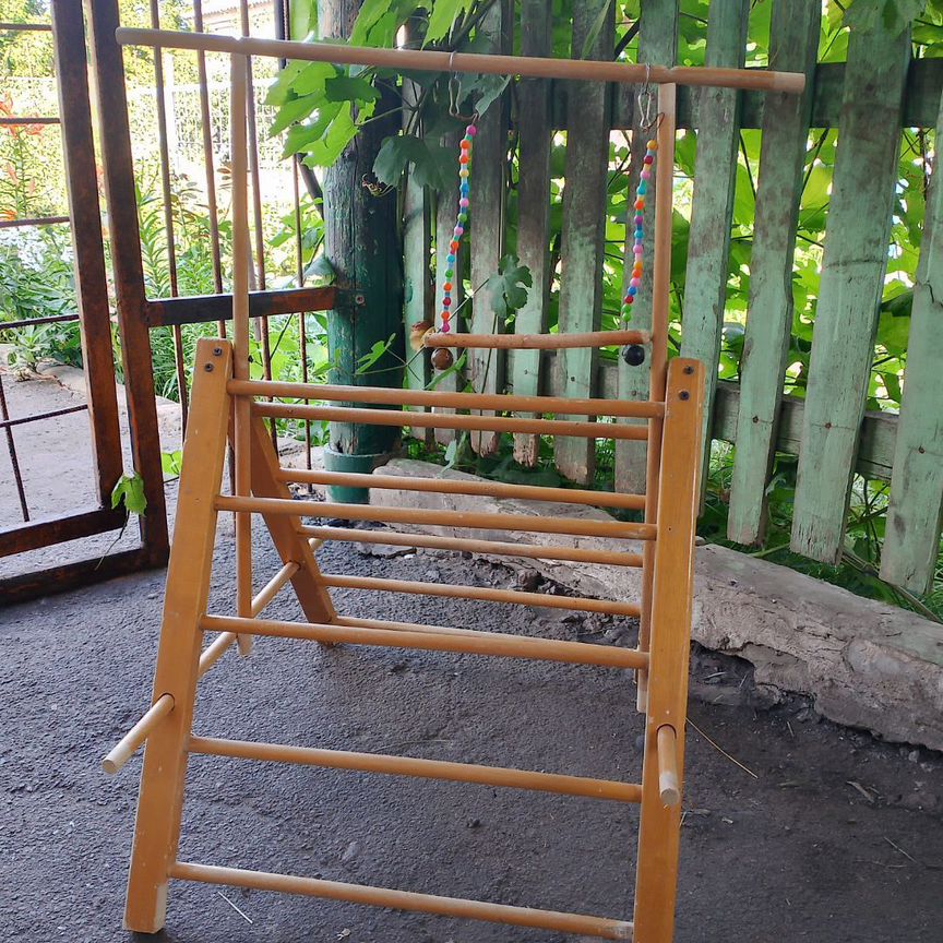 Стенд для попугаев