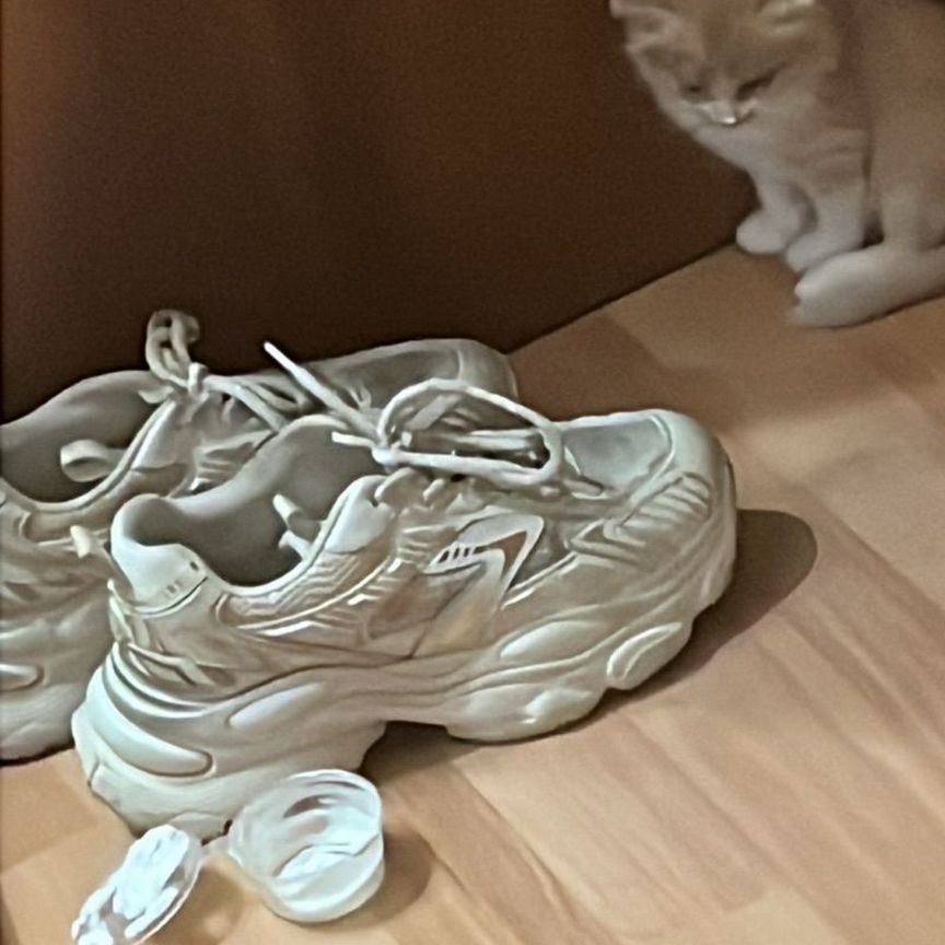 Отдам кошку в хорошие руки