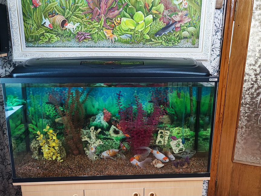 Аквариум комплект с тумбой 300 литров