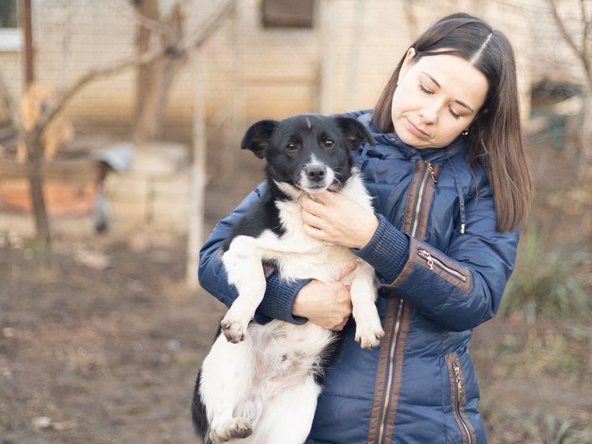 Заводной Фантик ищет дом