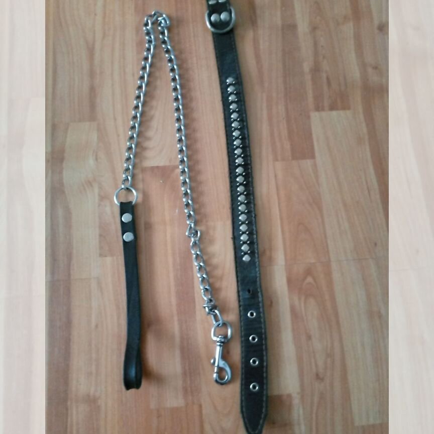 Поводок для собак