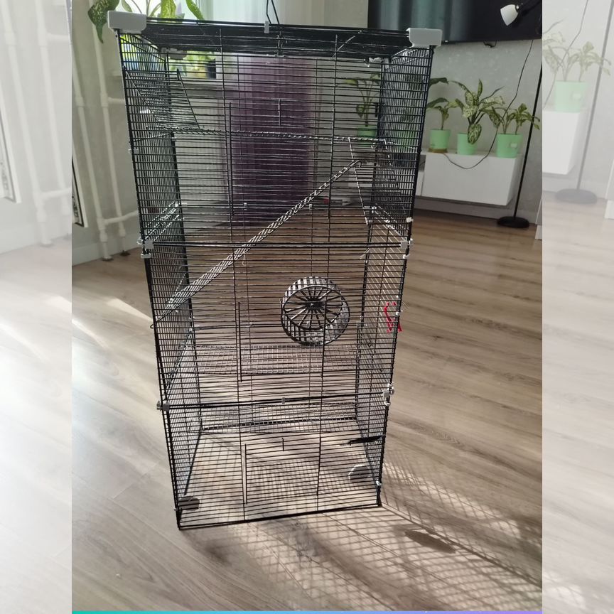 Клетка для грызунов бу