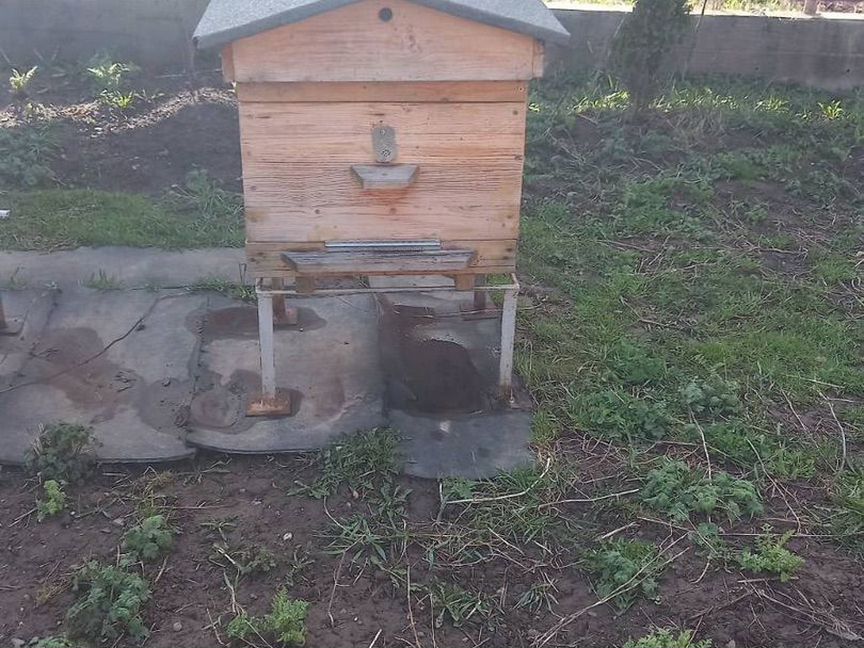 Улей для пчел