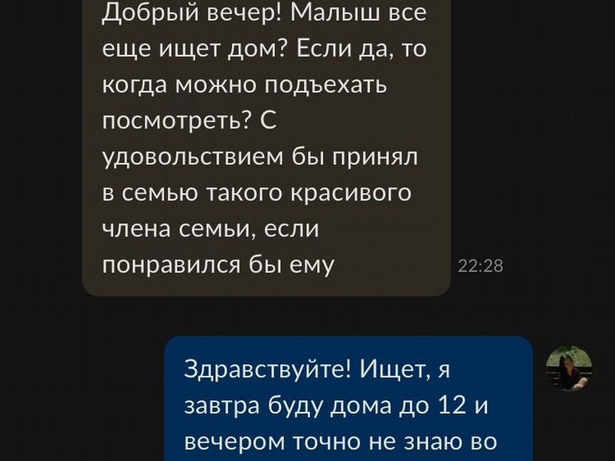 Помогите найти собаку