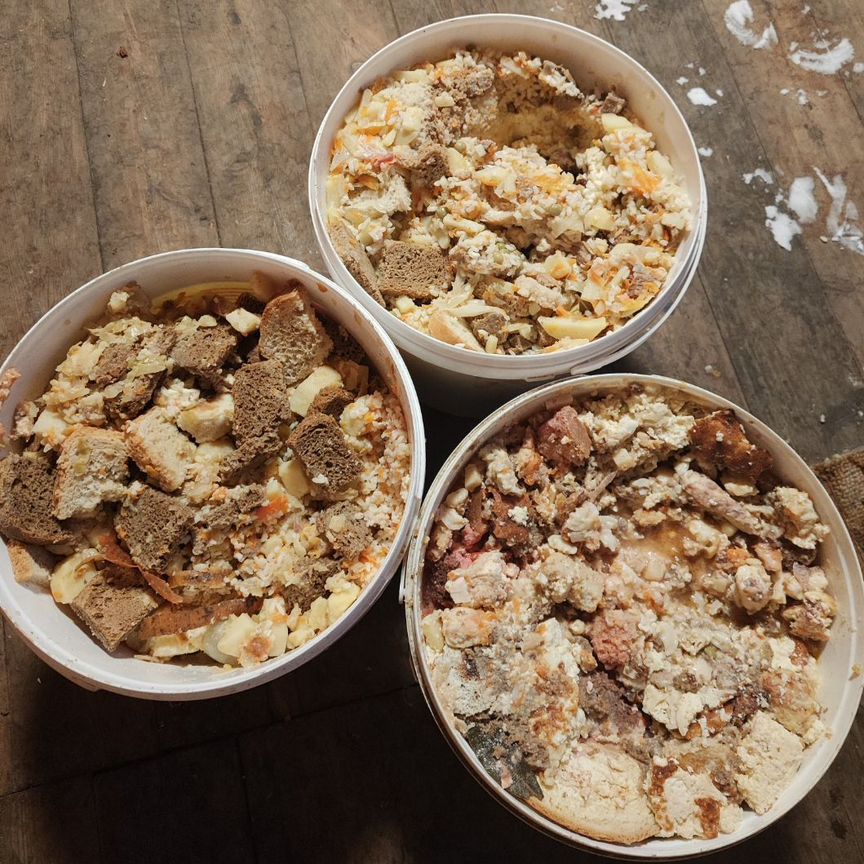 Пищевые отходы для животных Березовка