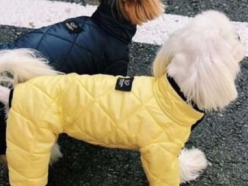 Комбинезон puppy angel
