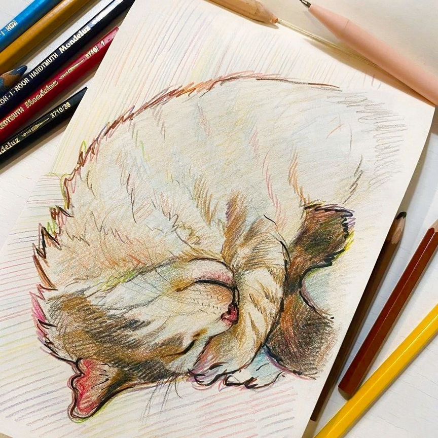 Рисую ваших питомцев