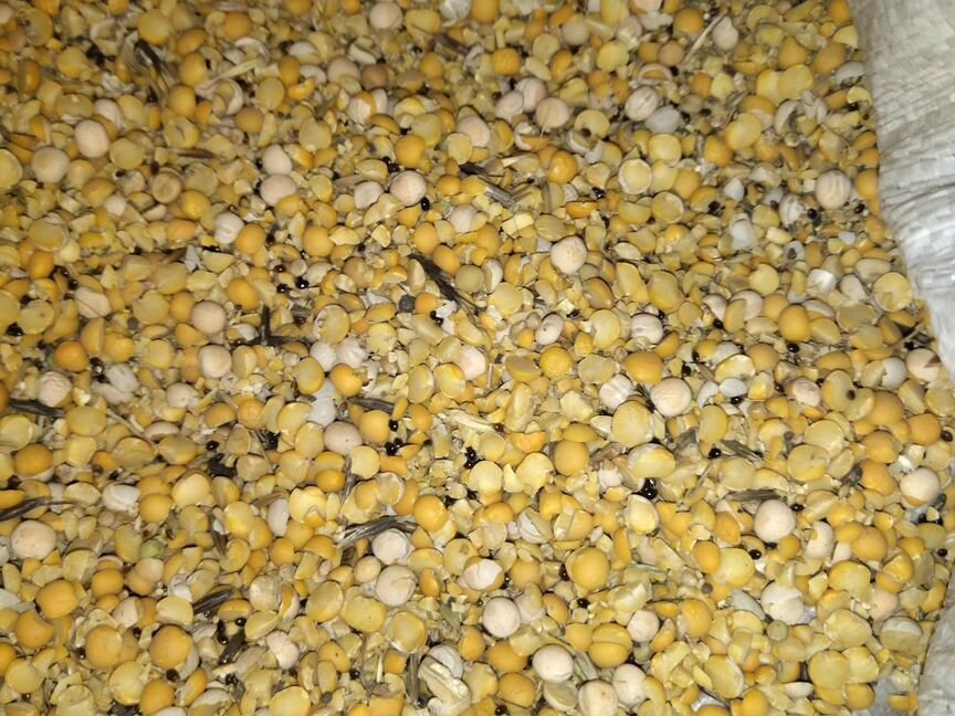 Гороховые отходы