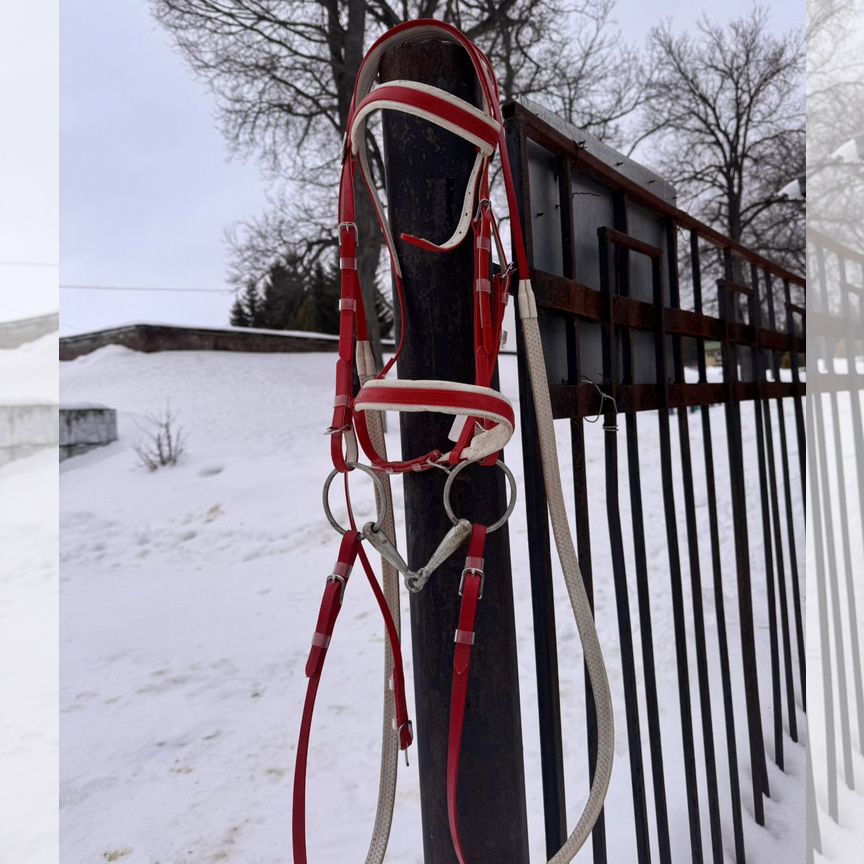 Уздечка для лошади