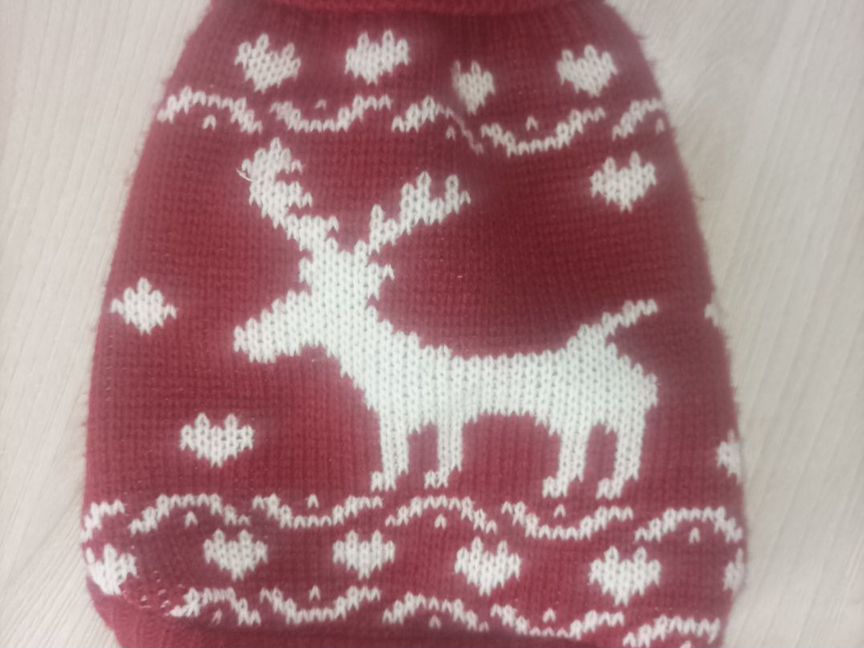 Одежда для собак мелких пород