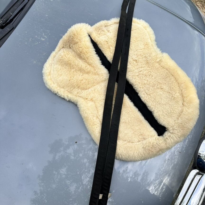 Путлища на лошадь