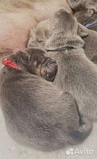 Инструктор по вязке